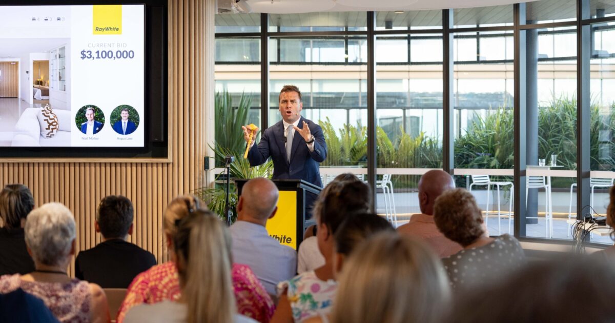 $37M+ sold under the hammer: Pre-Christmas auction events deliver • Ray ...